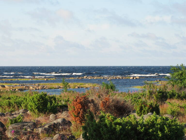 Bothnian Bay National Park - The Baltic Sea