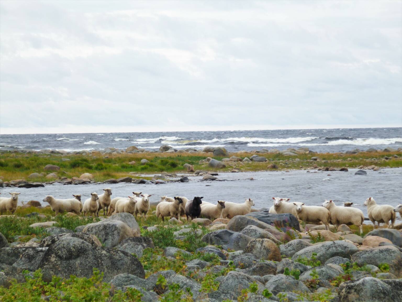 Bothnian Bay National Park - The Baltic Sea
