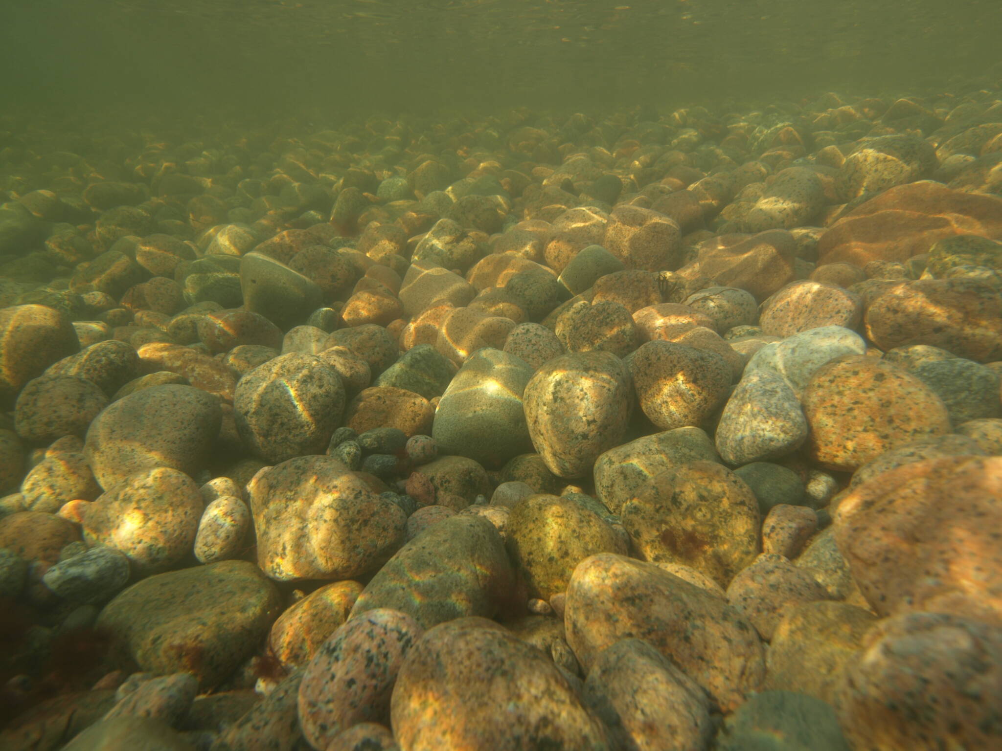 Marine geology and types of sediment - The Baltic Sea